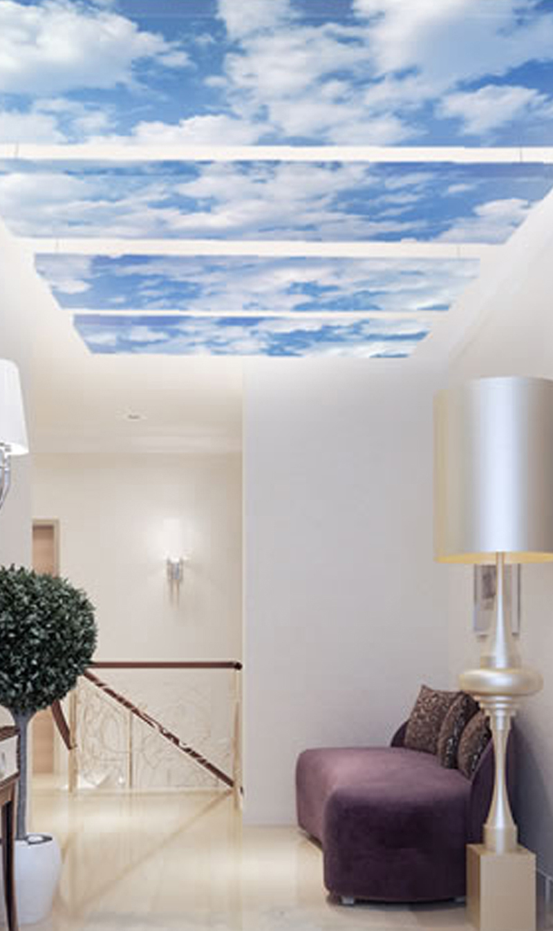 Shush Photo printed acoustic ceiling panel, printed with sky images